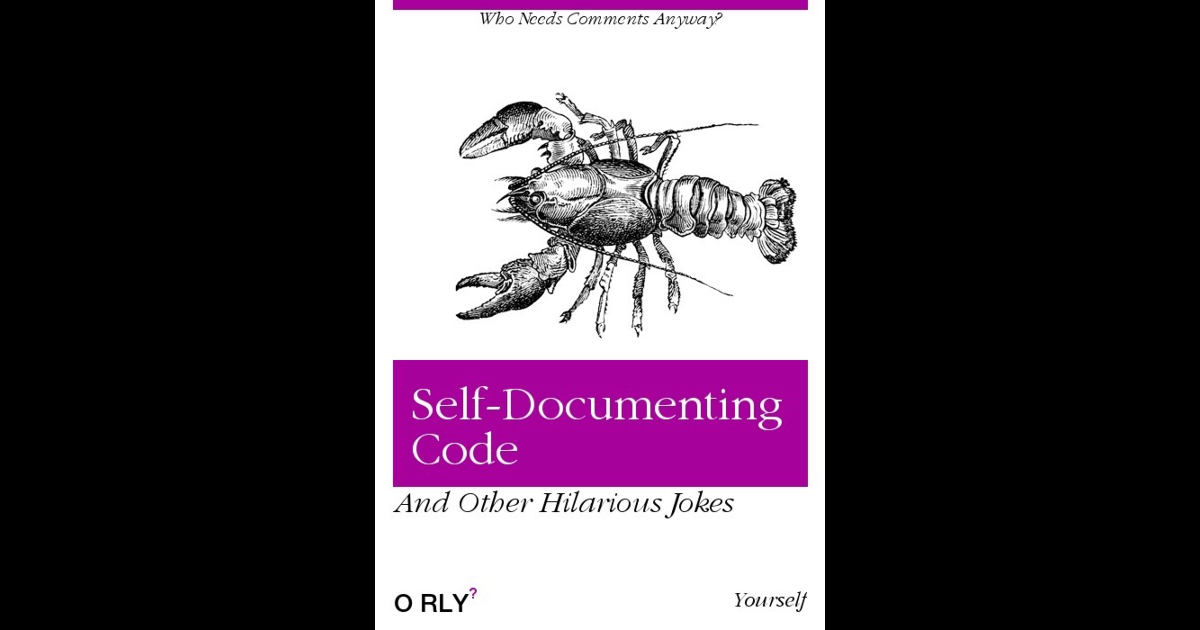 Self-Documenting Code | O'RLY Covers